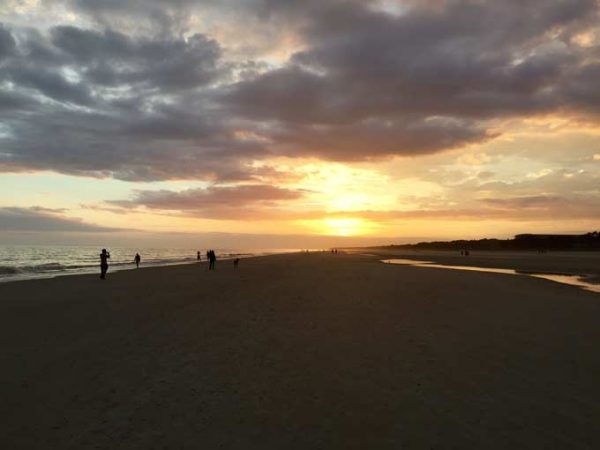Hilton Head Island South Carolina Beach Guide - Coastal Wandering