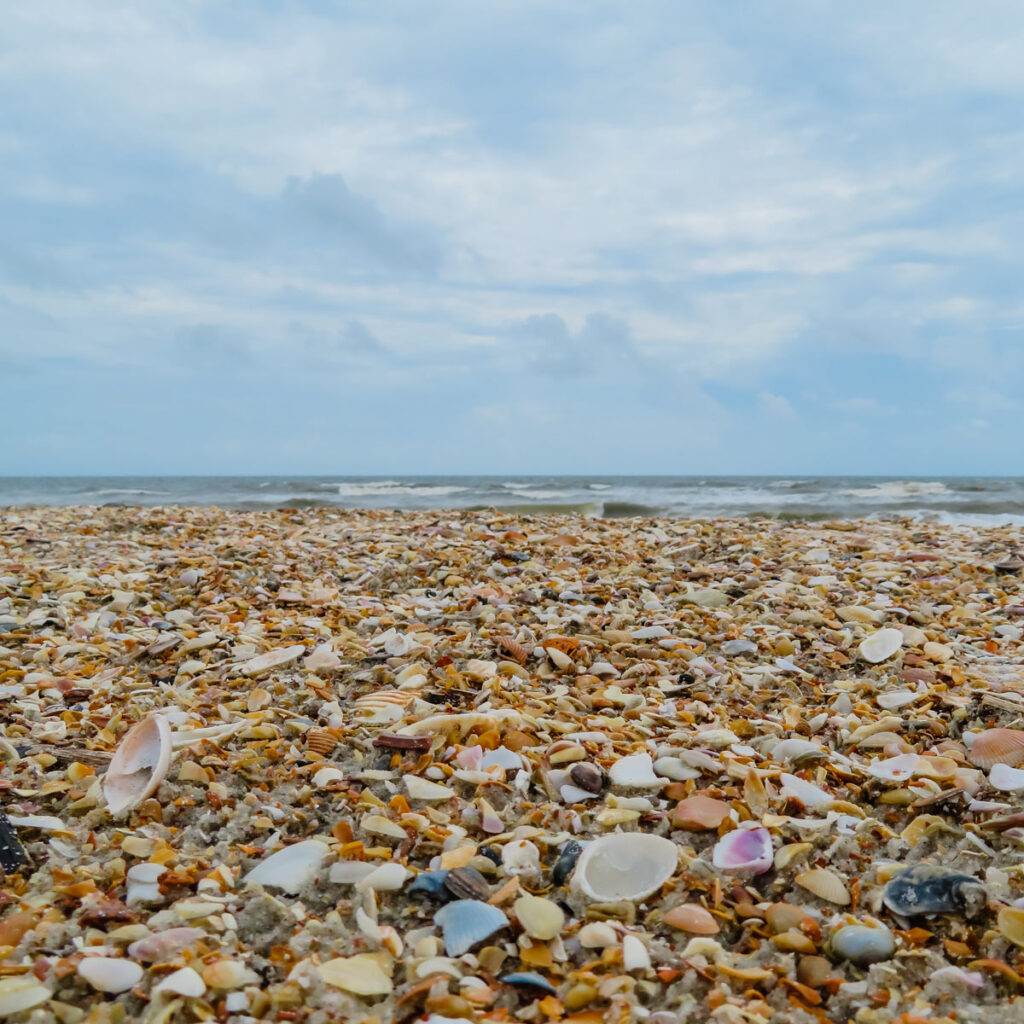 23 Best Northern Florida Beaches - Coastal Wandering