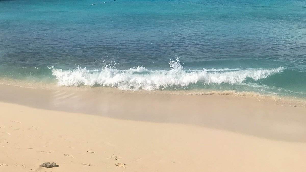 9 Must Haves For The Beach - Coastal Wandering