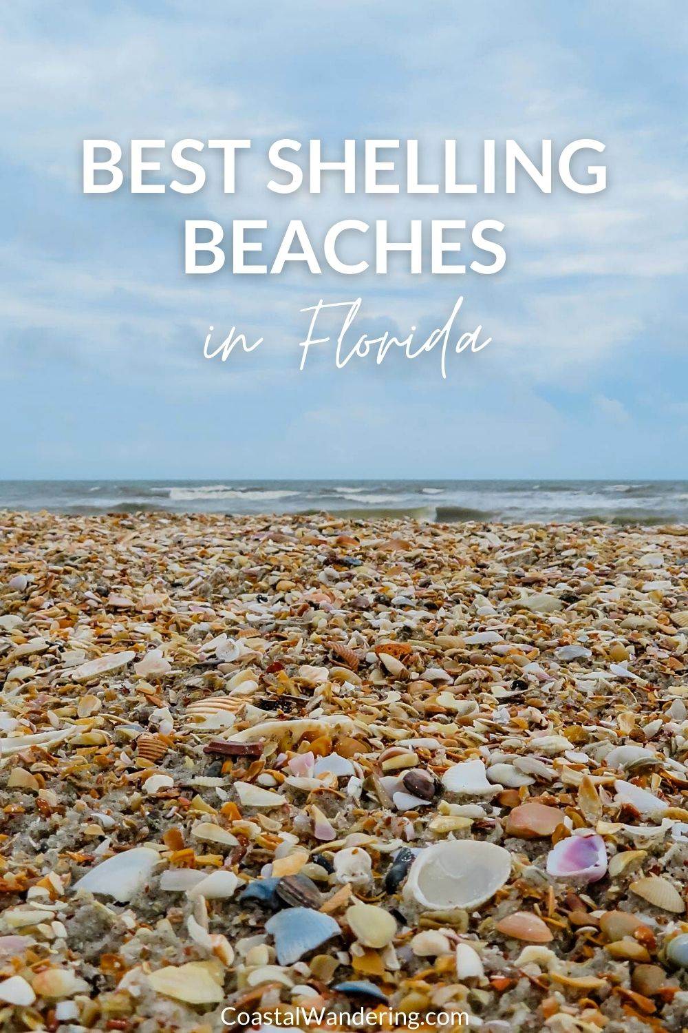 The 10 Best Shelling Beaches in Florida - Coastal Wandering