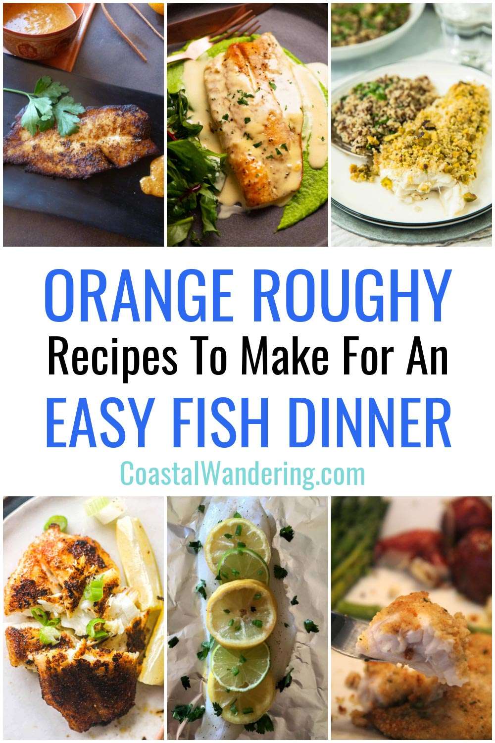 20 Orange Roughy Recipes To Make For An Easy Fish Dinner - Coastal ...