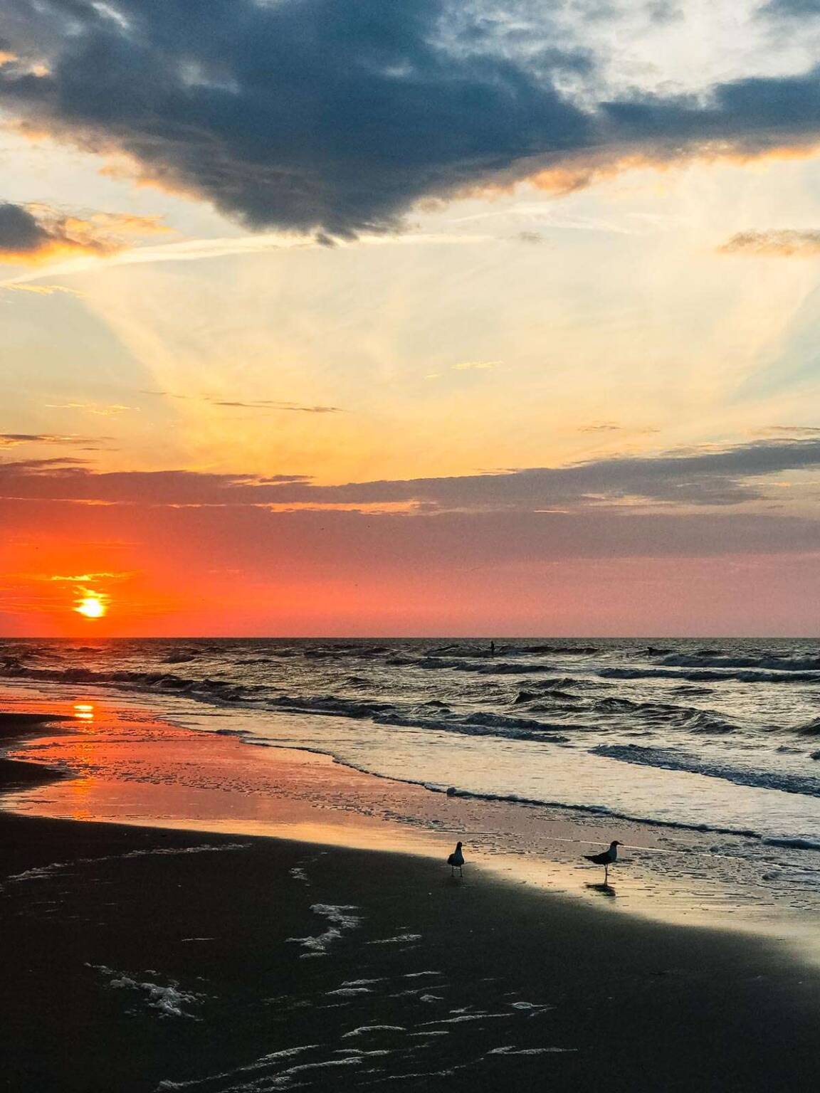 29 Things To Do In Folly Beach: Embrace The Charm - Coastal Wandering