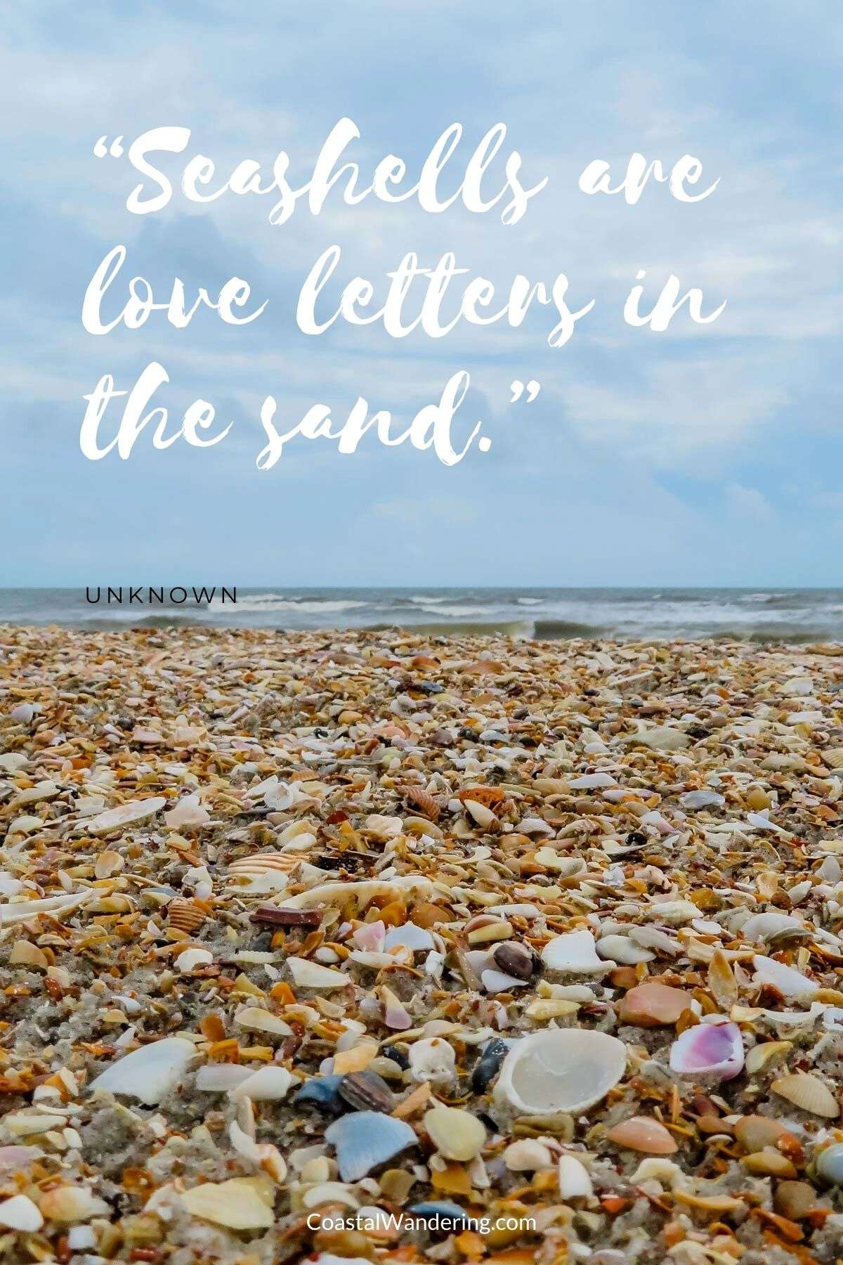 175 Ocean Quotes About The Sea - Coastal Wandering