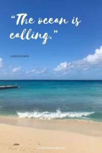 175 Ocean Quotes About The Sea - Coastal Wandering