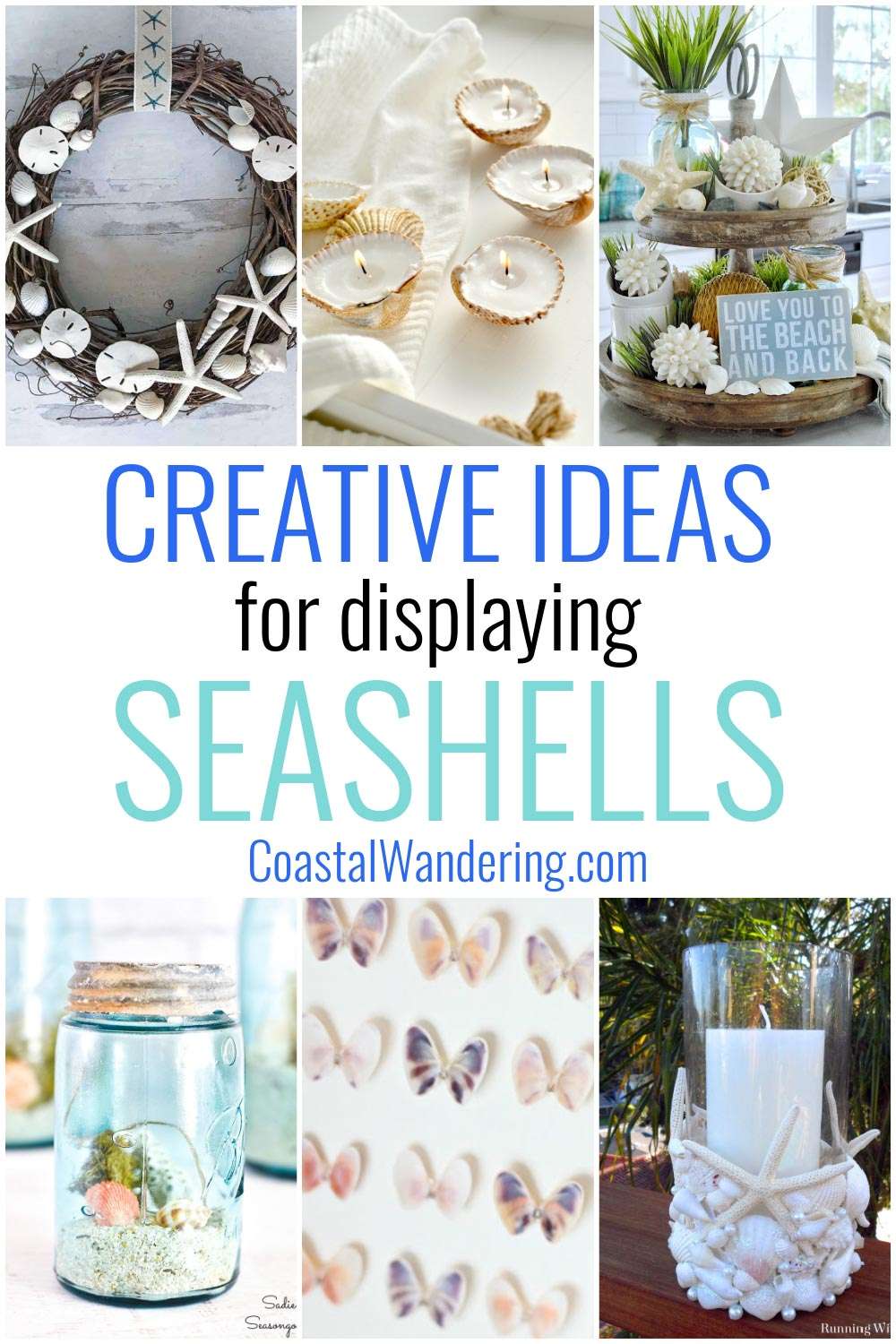22 Creative Ideas For Displaying Seashells - Coastal Wandering