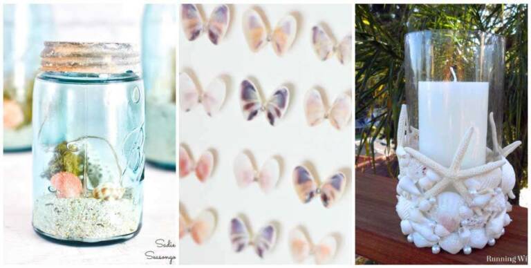 22 Creative Ideas For Displaying Seashells - Coastal Wandering