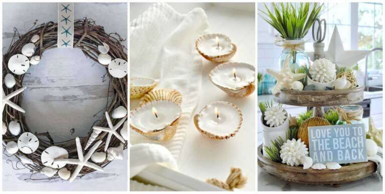 22 Creative Ideas For Displaying Seashells - Coastal Wandering