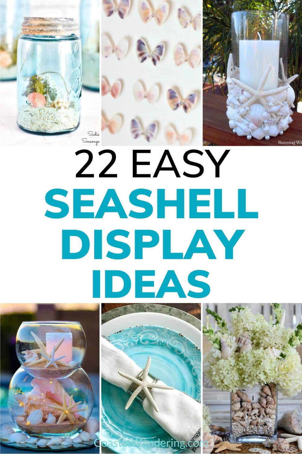 22 Creative Ideas For Displaying Seashells - Coastal Wandering