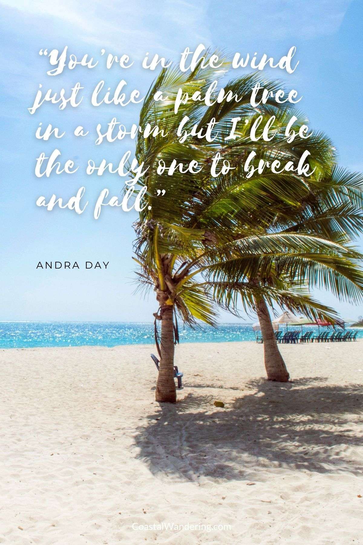 103 Palm Tree Quotes And Captions For Dreaming Of A Tropical Paradise ...