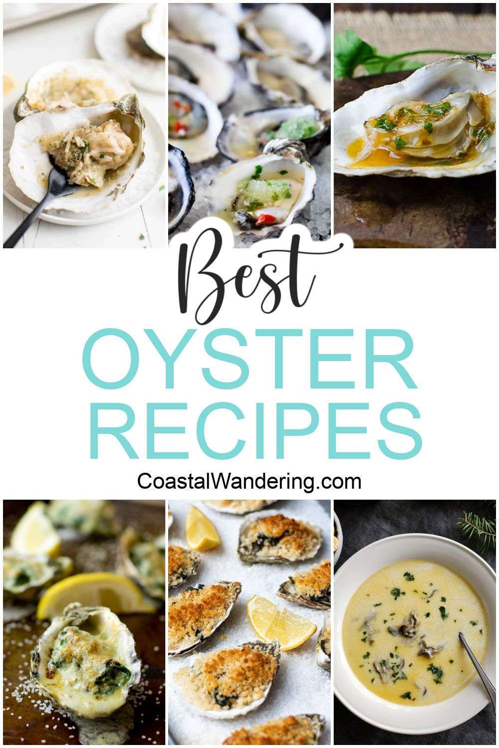 20 Easy And Delicious Oyster Recipes To Make At Home - Coastal Wandering